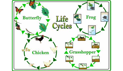 Welcome to Year 5 - Welcome to Inspire Academy : Welcome to Inspire Academy