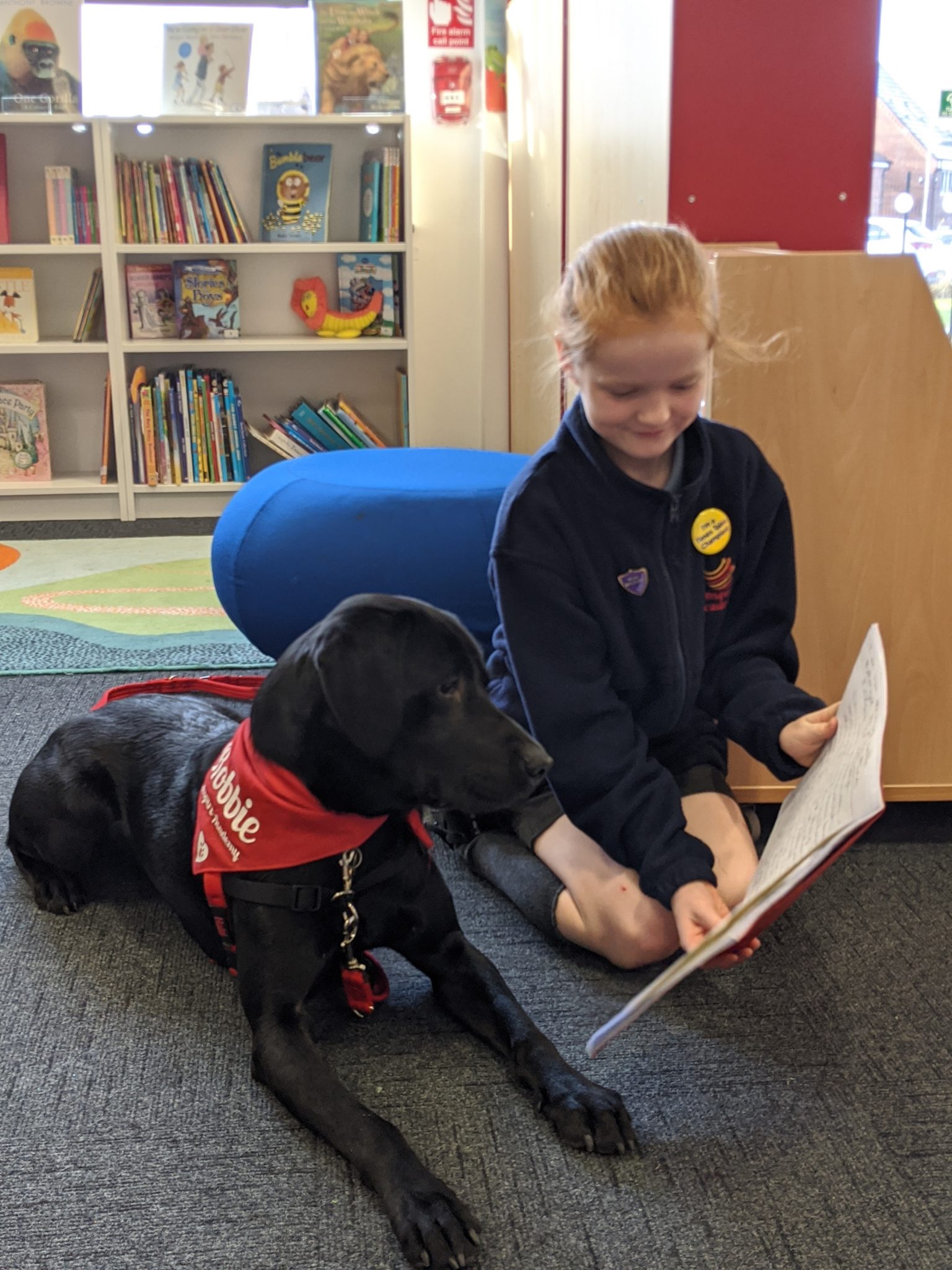 Robbie - Our School Dog - Welcome to Inspire Academy : Welcome to ...